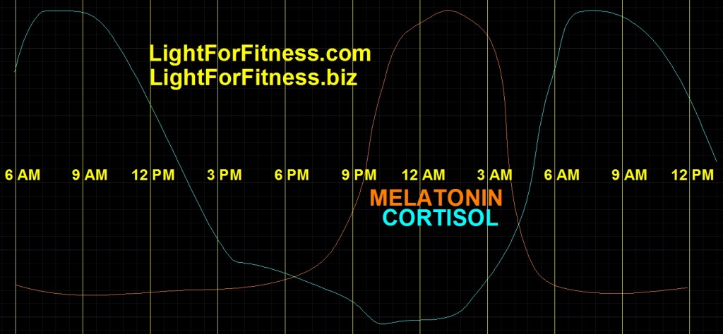 Cortisol – Light For Fitness Learning Website